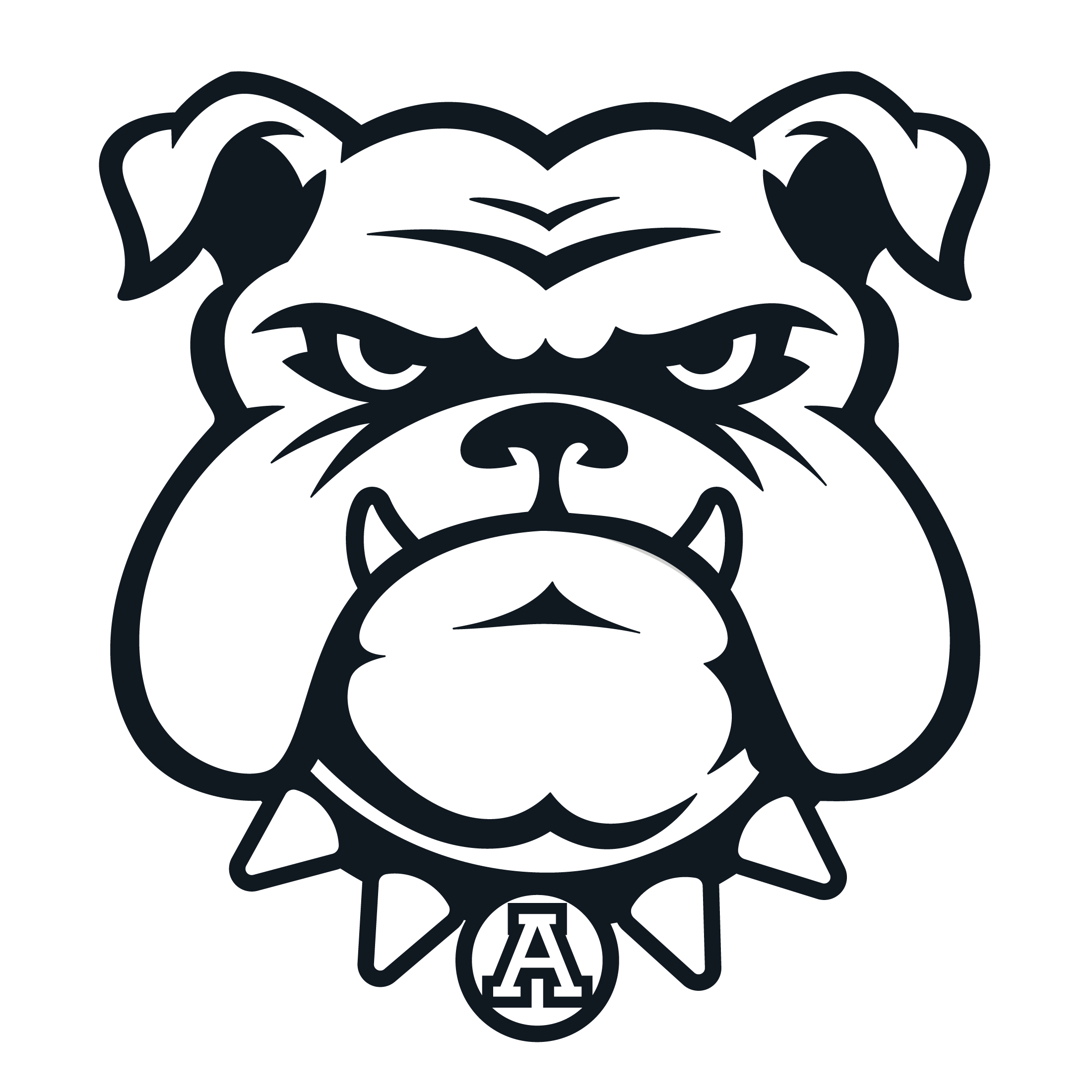 About – Austin High School PTO